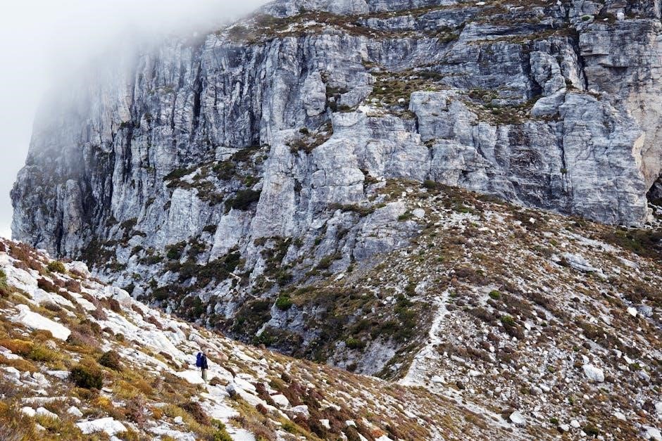 Biofinity Toric Multifocal Fitting Guide | Canada