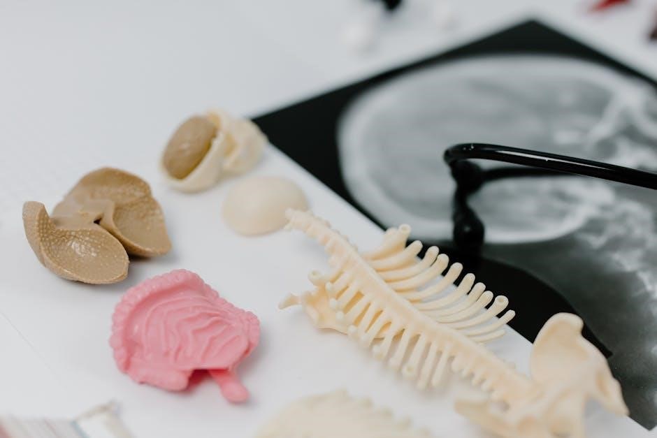 Free GED Social Studies Practice Test with Answers | PDF Download